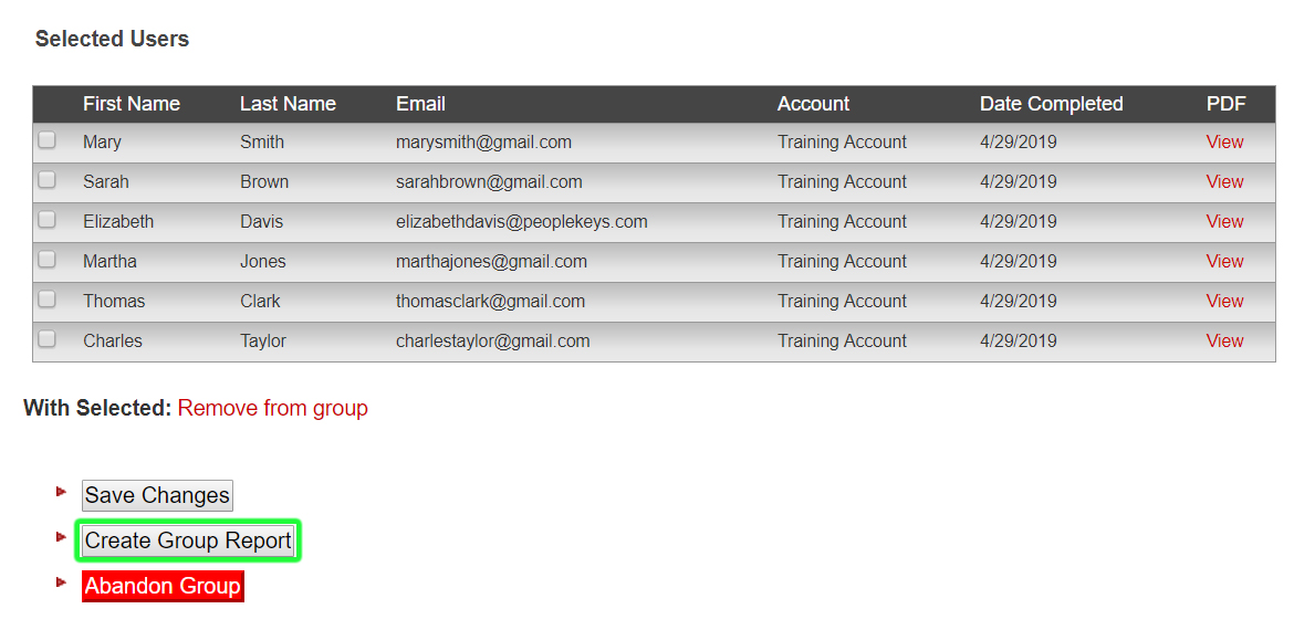 Creating a Group Dynamics Report – PeopleKeys